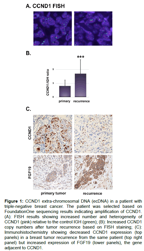 A Case Study of Precision Medicine: Next Generation Sequencing Compared ...